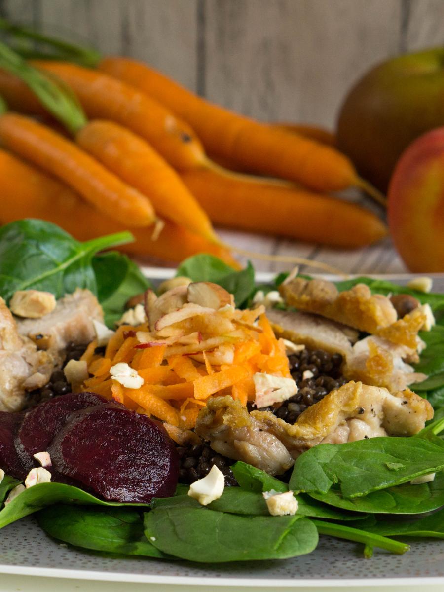 Linsensalat mit Roter Beete, Äpfeln & Möhren von kochend-heiss • Delicat.io